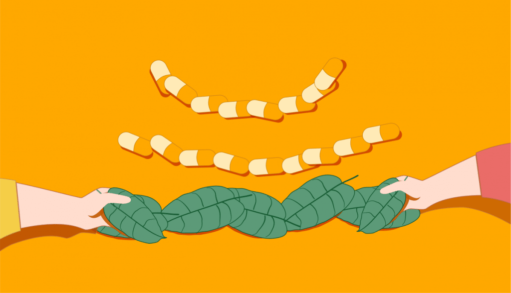 Red, Green, & White Kratom Strains: Why They're Different & How to Use ...