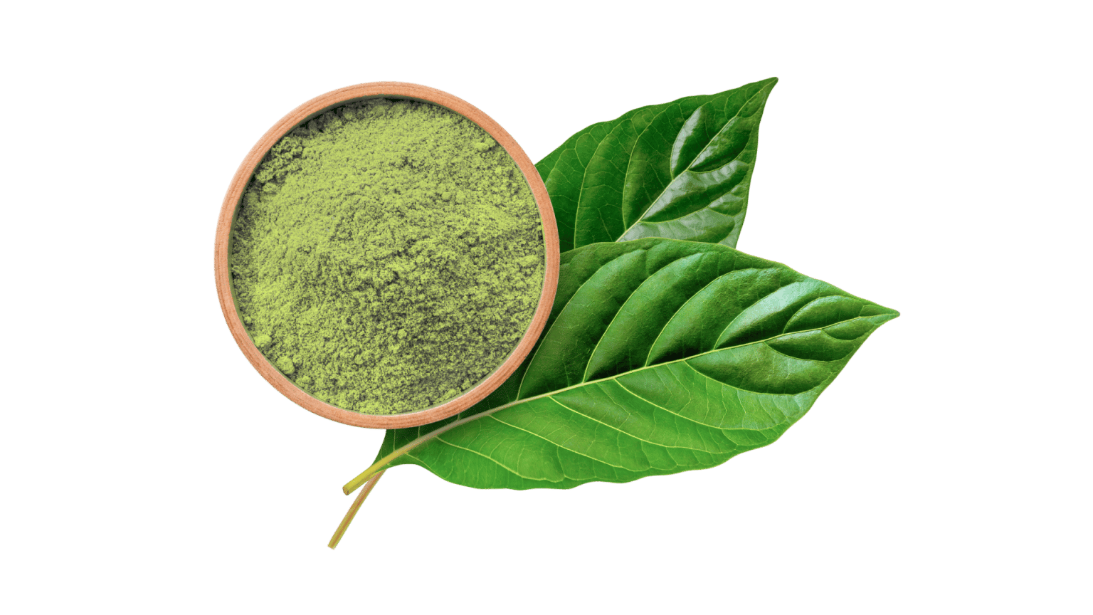 Kratom Alkaloids: Explaining Kratom's Active Ingredients - Kratom.org