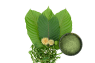 Can You Smoke Kratom? Dosage & Safety Information - Kratom.org