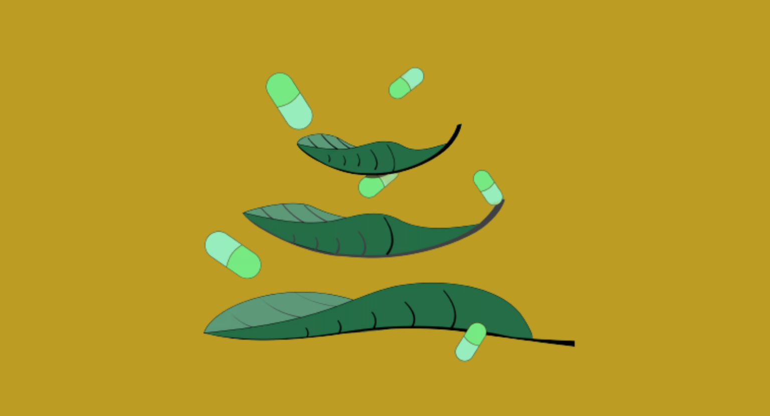 Gold Vein Kratom Strains & Their Effects - Kratom.org