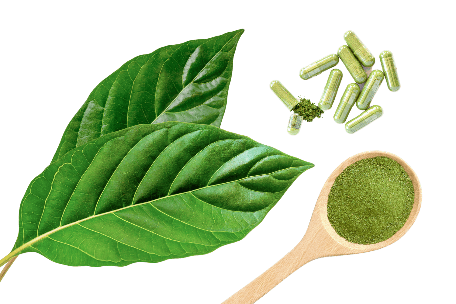 Kratom Powder 101: Guide to Buying & Using Kratom Powder - Kratom.org
