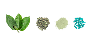 Kratom Dosage Guide — How Much Kratom Should I Take? - Kratom.org