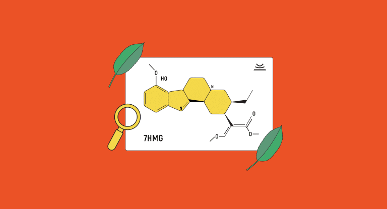 Kratom Alkaloids: Explaining Kratom's Active Ingredients - Kratom.org