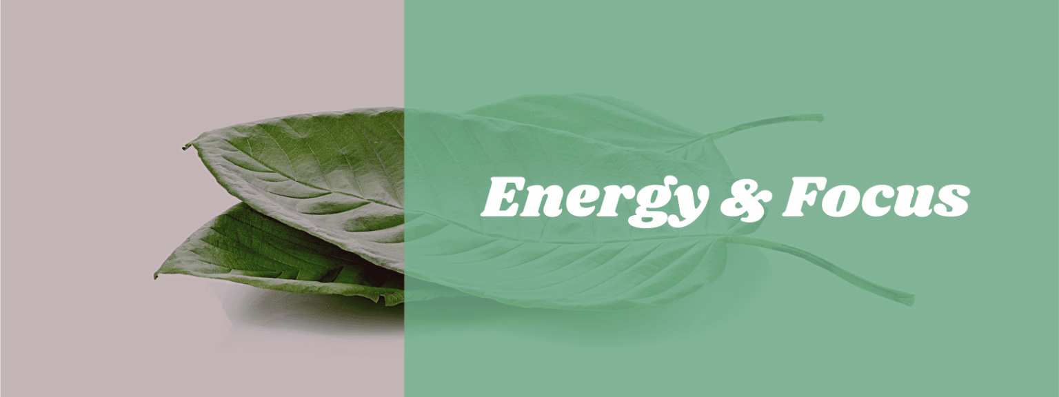 Making Sense of Kratom Research: Therapeutic Effects, Abuse Potential ...