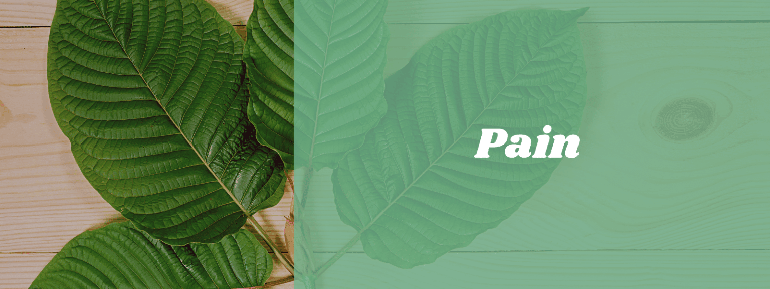 Making Sense of Kratom Research: Therapeutic Effects, Abuse Potential ...