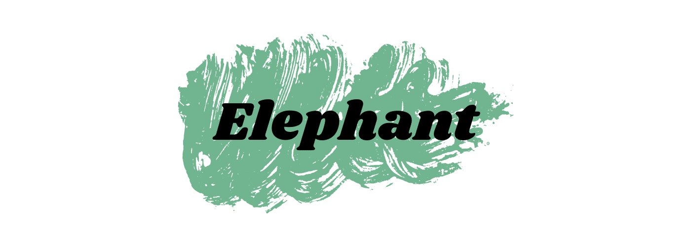 Red, Green, & White Kratom Strains: Why They're Different & How to Use ...