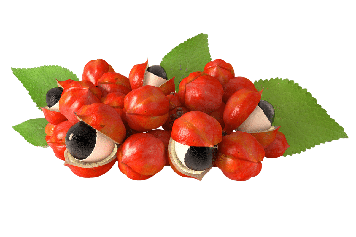 Guarana: Its Benefits, Side Effects & Odd History - Kratom.org