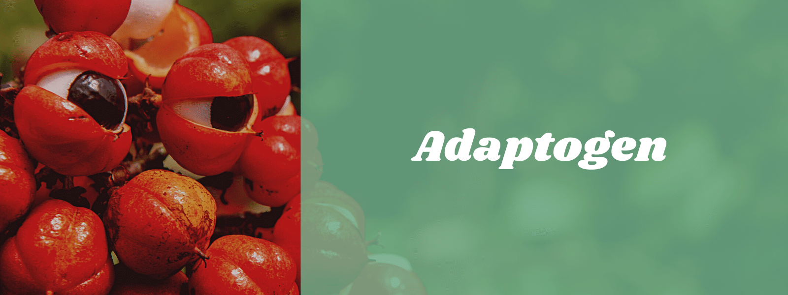 Guarana: Its Benefits, Side Effects & Odd History - Kratom.org